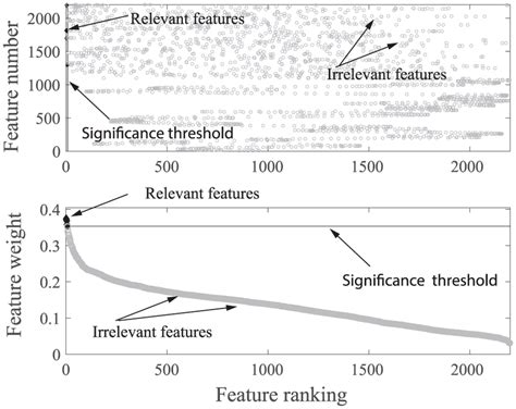Feature Ranking And Selection Using Relief F Download Scientific Diagram