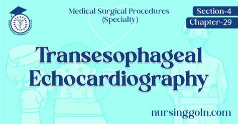 Transesophageal Echocardiography Nursing And Midwifery Gurukul Goln