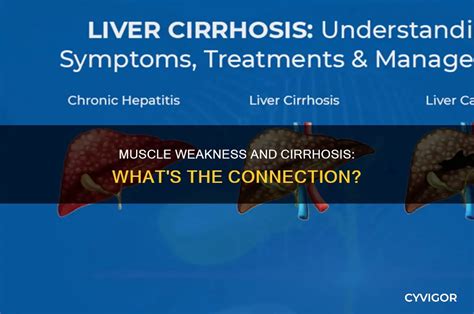 Muscle Weakness And Cirrhosis Whats The Connection Cyvigor