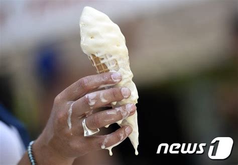 천천히 녹는 아이스크림답은 단백질이었다