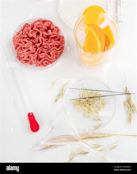 Laboratory Assistant In The Laboratory Of Food Quality Cell Culture