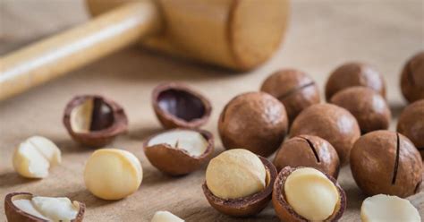 Крупный Макадамия орех 1 кг 3А в скорлупе с ключом купить на Ozon по низкой цене 1825812154