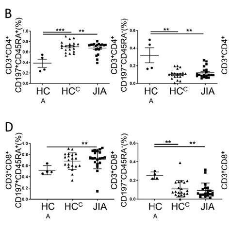 Major Human T Cell Differentiation Stages A Schematic Representation Download Scientific