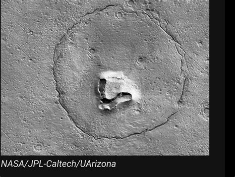 Moon Optimized Prototype I See You R Birdsarentreal