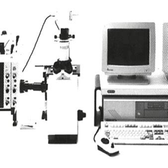 The Photographic Image Of The Laser Scanning Confocal Microscope LSCM Download Scientific
