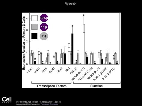 Generation Of Functional Human Pancreatic β Cells In Vitro Ppt Download