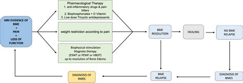 Algorithm Of Reversible Bme Forms Download Scientific Diagram