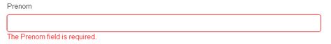 Radzen Validation Message Radzenblazor Components Radzen