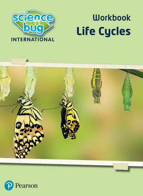 Science Bug Life Cycles Year 5 Workbook