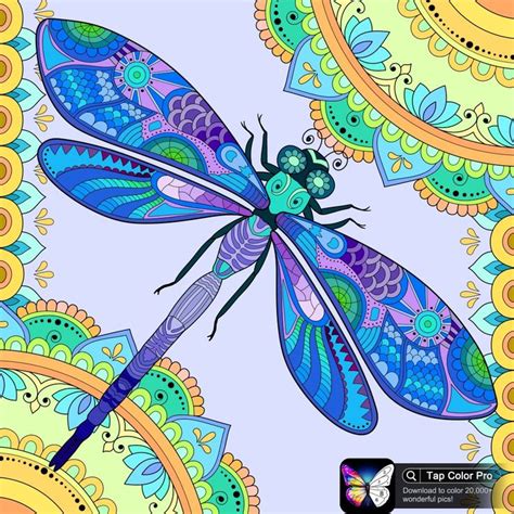 Pin By Nicola Domoney On Coloring In Dragonfly Artwork Coloring Book