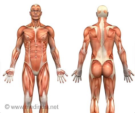 Wearable Sensor For Monitoring Muscle Atrophy