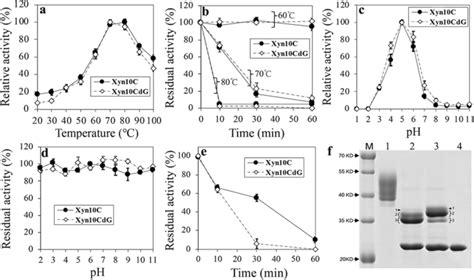 成簇的表面氨基酸残基调节真菌中 Gh10 木聚糖酶的酸稳定性 Applied Microbiology And Biotechnology X Mol