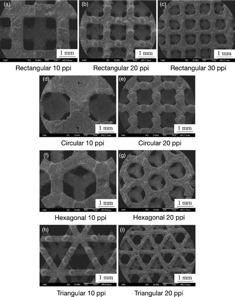 SEM images of 3D printed specimens of the different porous electrode ...