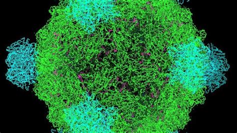Unlocking Complex Patterns With ϕx The Secret Behind Machine