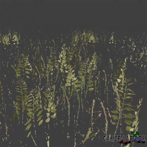 Grasspackbig Herbs Biology Various Models Source Warehouse