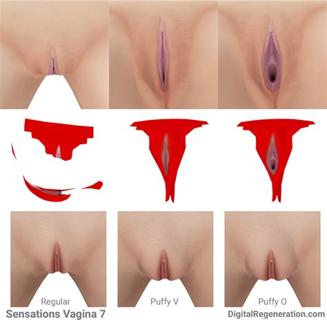 Sensations Vagina 7 The Mesh Directory Regeneration