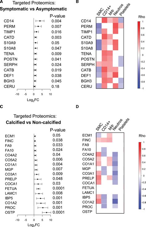 Proteomic Atlas Of Atherosclerosis The Contribution Of Proteoglycans