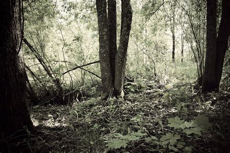85 By Mabuli On Deviantart
