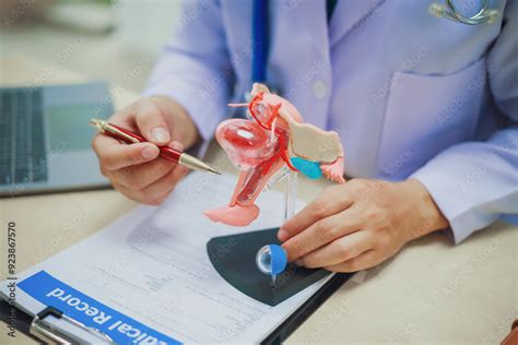 Urologists Measure The Size Of The Female Genitalia Using The Female Genital Health Examination