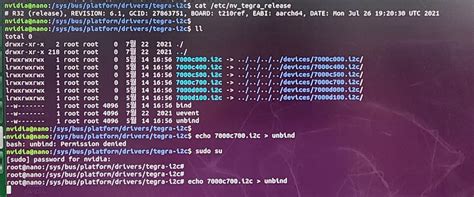 Jetson Nano I C Bind Unbind Jetson AGX Orin NVIDIA Developer Forums