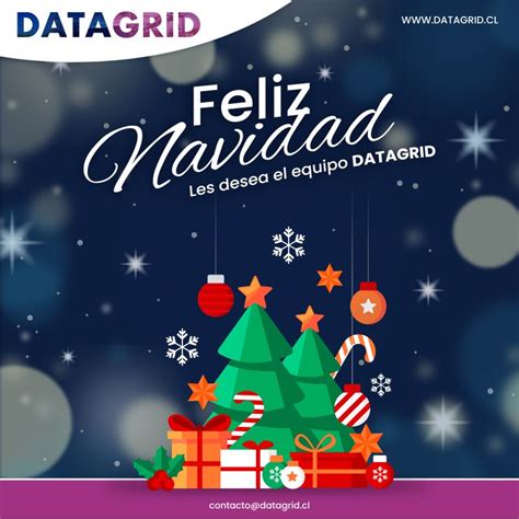 datagrid en linkedin datagrid feliznavidad2024 consultoríaeléctrica