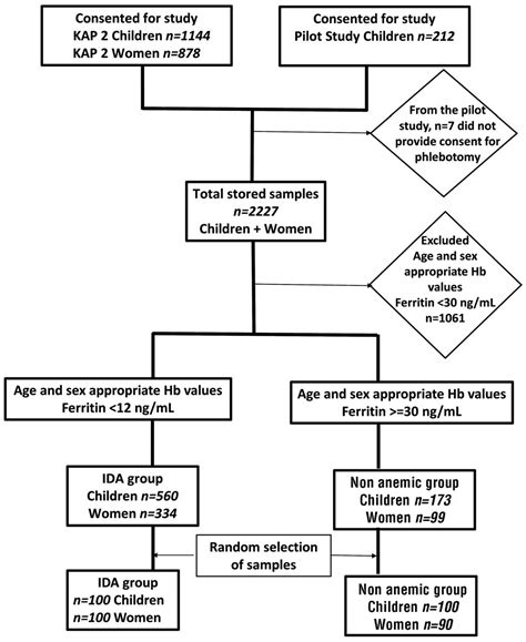 Anemia Flow Chart