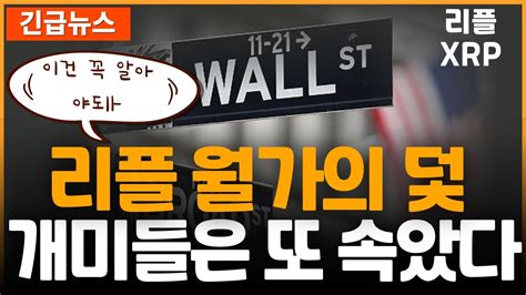 Xrp 리플 월가의 덫 개미들은 또 속았다 Youtube
