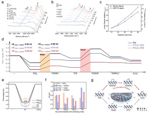 Photochemical In Situ Surface Vibration Spectroscopy A Raman Download Scientific Diagram