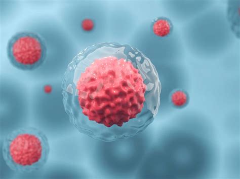 The Role Of Mitochondria In Aging The Powerhouses Of Cells