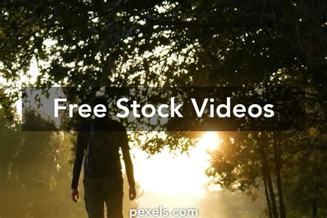 Netherlands Girl Videos Download The Best Free 4k Stock Video Footage