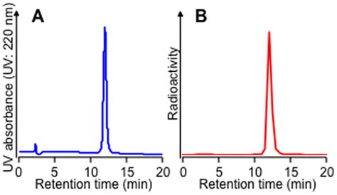 RP HPLC Chromatograms RP HPLC Chromatograms Of A Nonradioactive Download Scientific Diagram