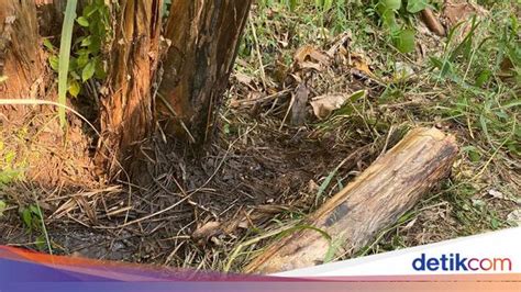 Fakta Baru Mayat Bugil Di Depok Dikira Wanita Ternyata Pria