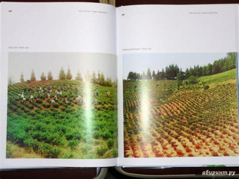 Книга: Цветная империя. Россия до потрясений. Фотограф С.М.Прокудин ...