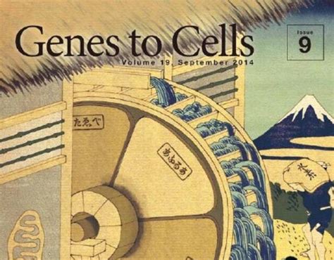 日本科学杂志封面设计