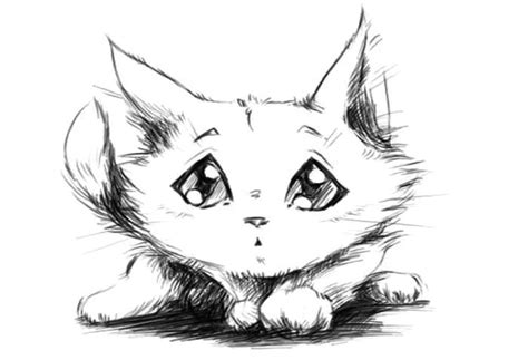 Черно белые рисунки для срисовки