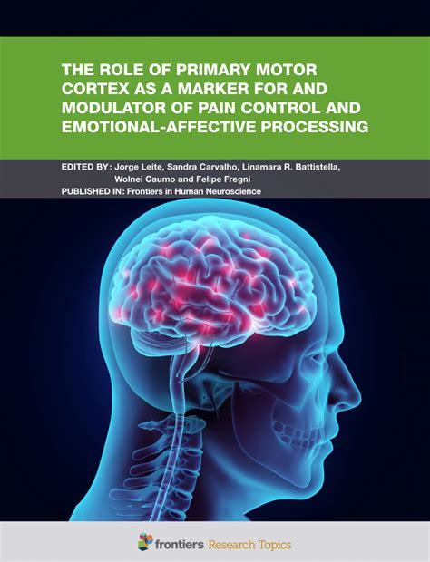 PDF The Role Of Primary Motor Cortex As A Marker For And Modulator Of Pain Control And