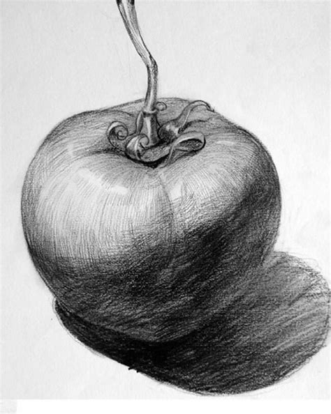 Как нарисовать яблоко натюрморт