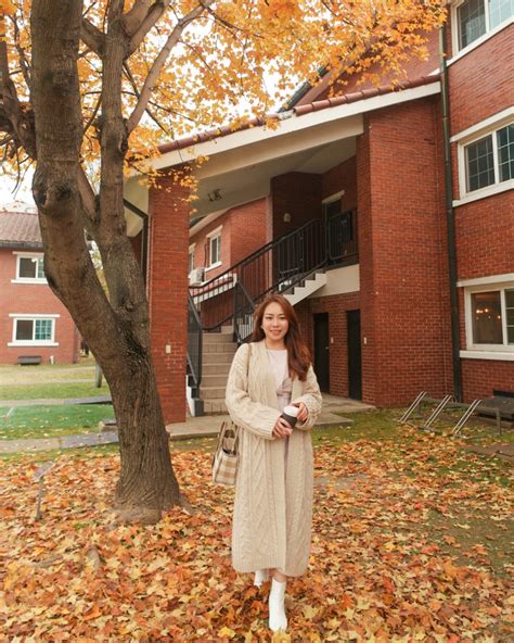 신사동 미용실 차홍룸 가로수길점 뿌리염색 By 김세미실장님 네이버 블로그