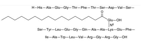 Liraglutide Cas 204656 20 2 Scbt Santa Cruz Biotechnology