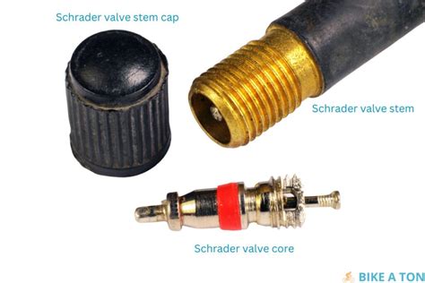 Types of Bike Tire Valves: All You Need to Know - Bike A Ton