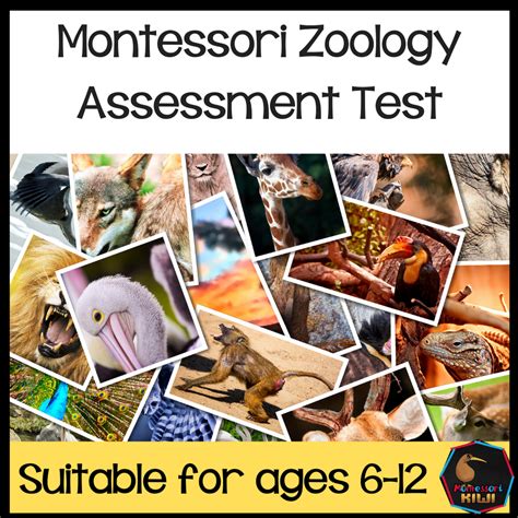 Landform Sorting Montessori Inspired Shop Montessori Resources For 6 12 Elementary