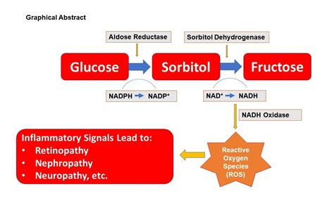 Sorbitol Pathway