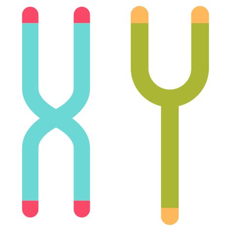 Chromosome X Y Dna Male Female Icon Download On Iconfinder