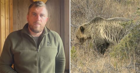 Guľáš Z Medveďa Sa Môže Objaviť Aj Vo Vašej Obľúbenej Reštaurácii