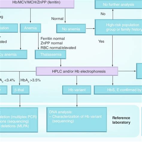 Principle Of Multiplex Ligation Dependent Probe Amplification Two Download Scientific Diagram