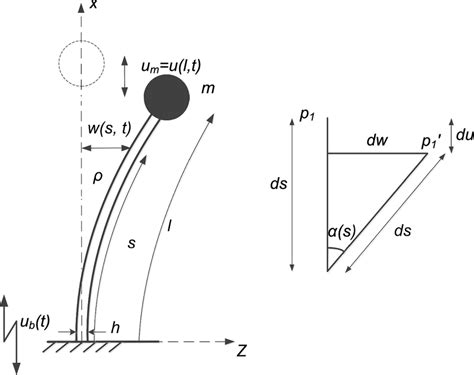 Schematic Of The Beam With Tip Mass System The Vertical Line