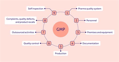 All About Gmp Labeling Requirements And Best Practices