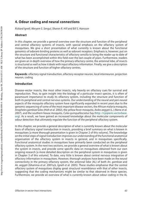 Pdf Odour Coding And Neural Connections