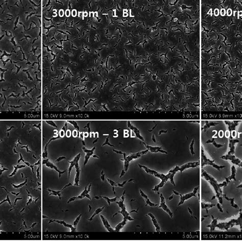 Sem Images Cross Sectional Of The Compact Nio Blocking Layer On Fto
