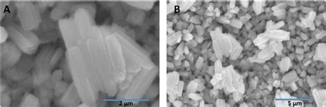 Representative Scanning Electron Micrographs Of An As Prepared Ag 4 V 2